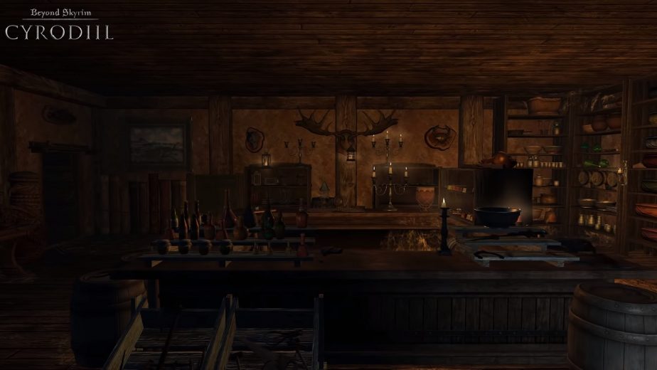 New Beyond Skyrim Developer Diary Showcases Impressive Progress New Beyond Skyrim Developer Diary Showcases Impressive Progress